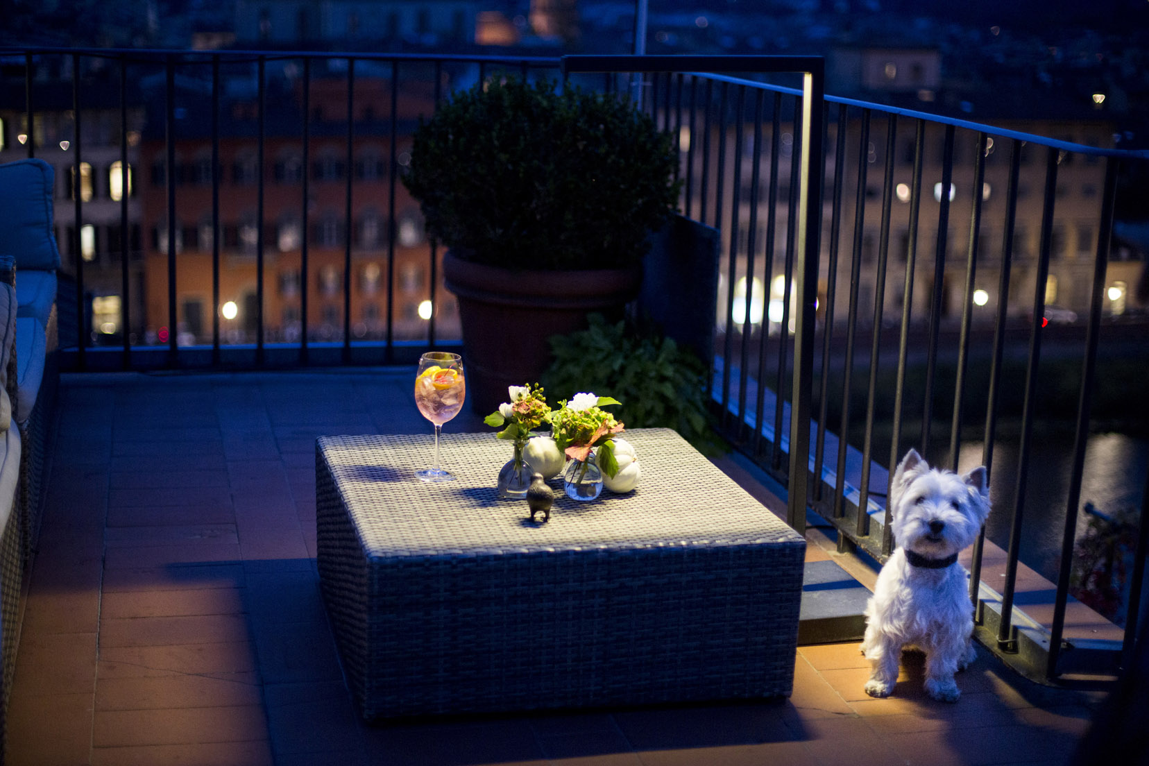 The best rooftop in Florence - Antica Torre Rooftop